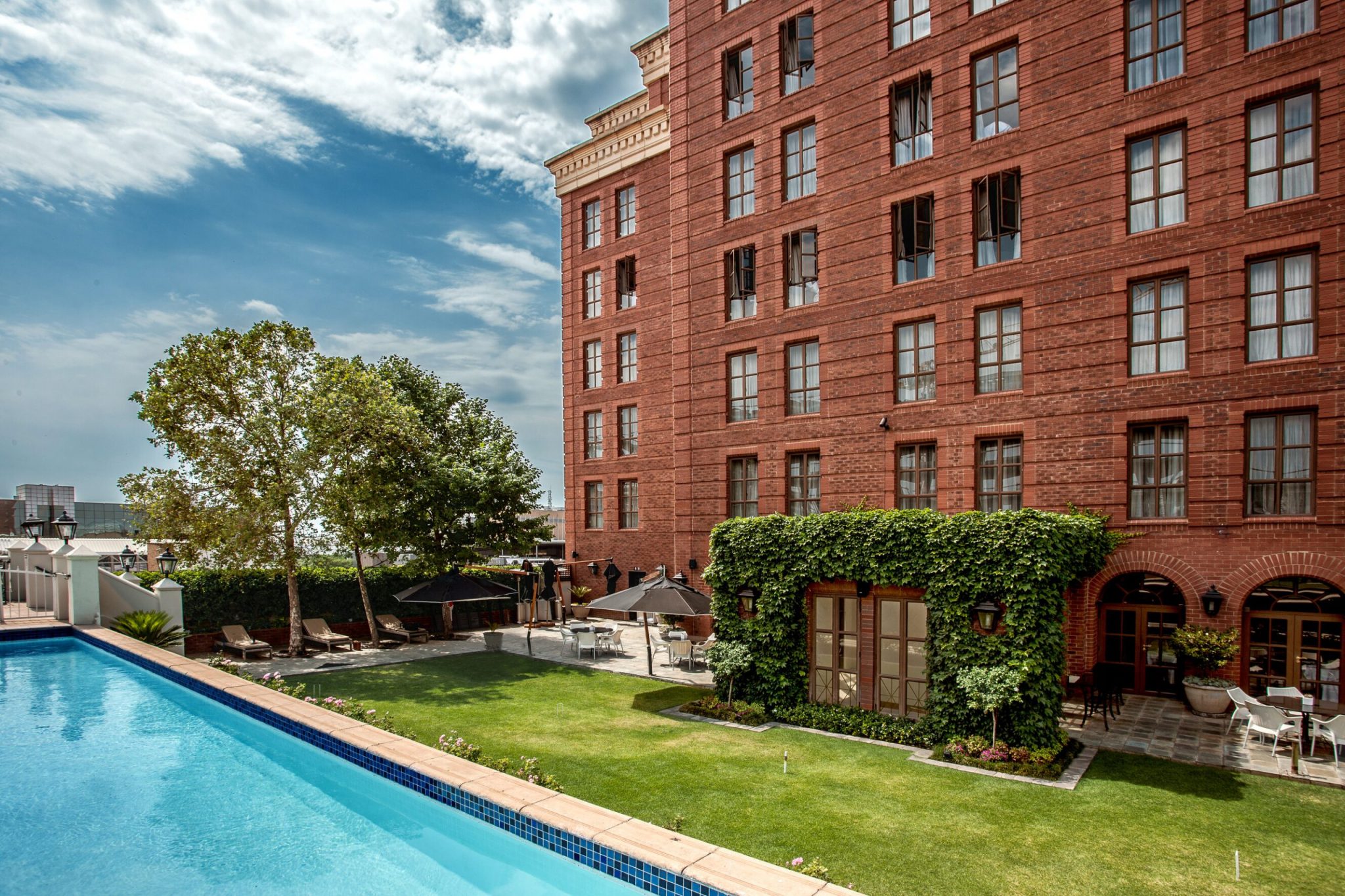 Festive in Rosebank: Holidays, Family Fun, and City Cheer - Rosebank